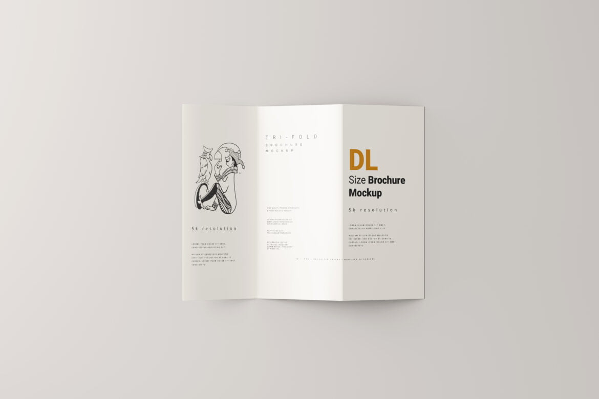 DL Size Tri-Fold Brochure Mockups - Mockup Free