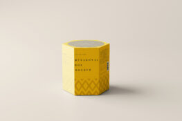 Hexagonal Box Mockup - Mockup Free