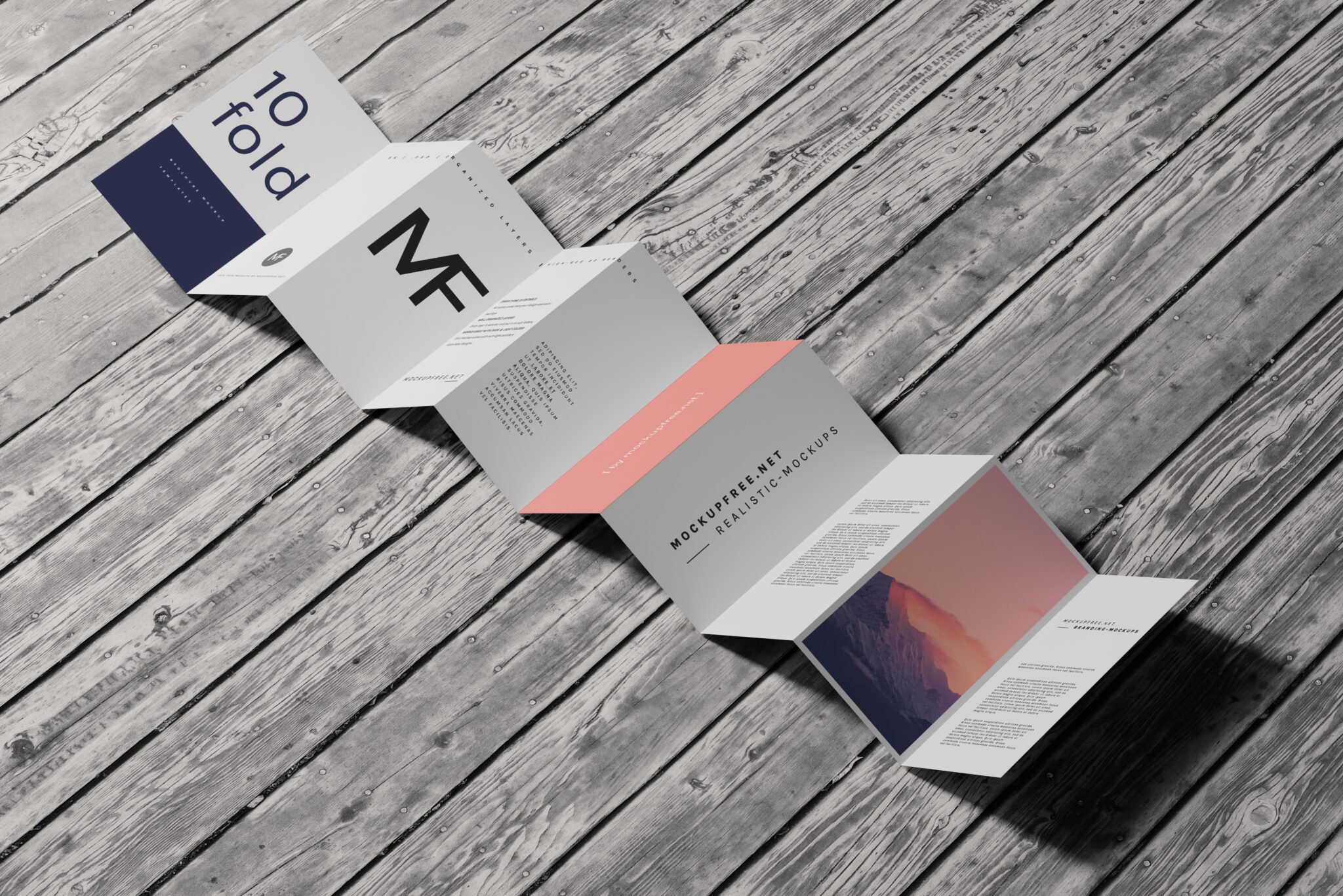 DL Ten-Fold Brochure or Flyer Mockups - Mockup Free